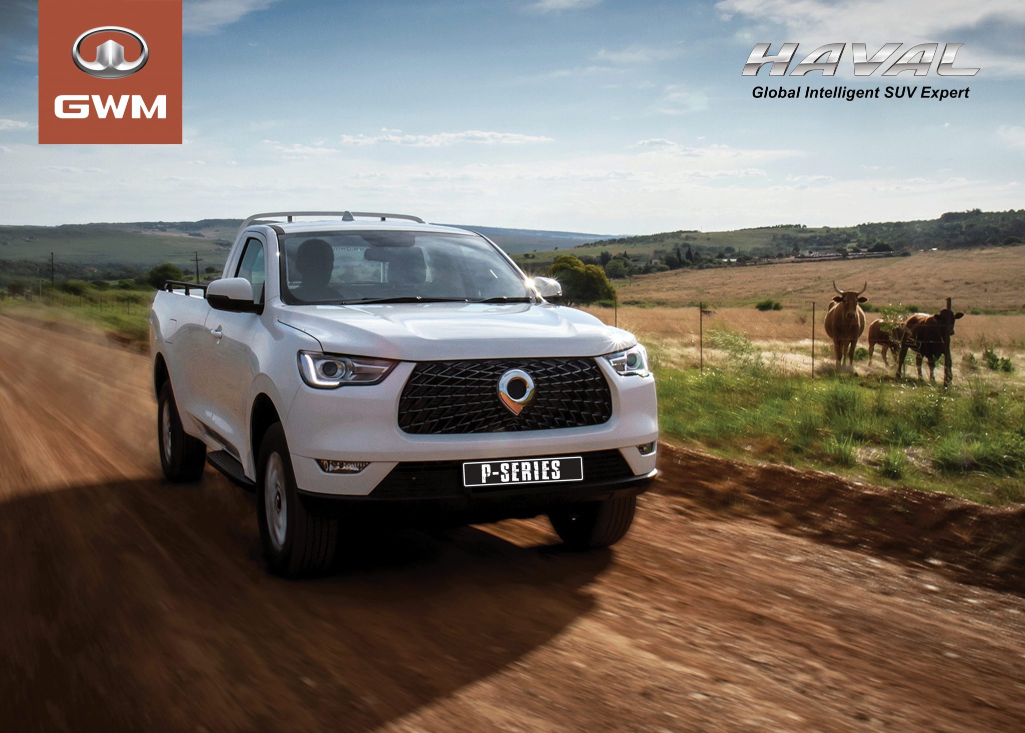 Southern Cross Motors | One Name. Many Legends.